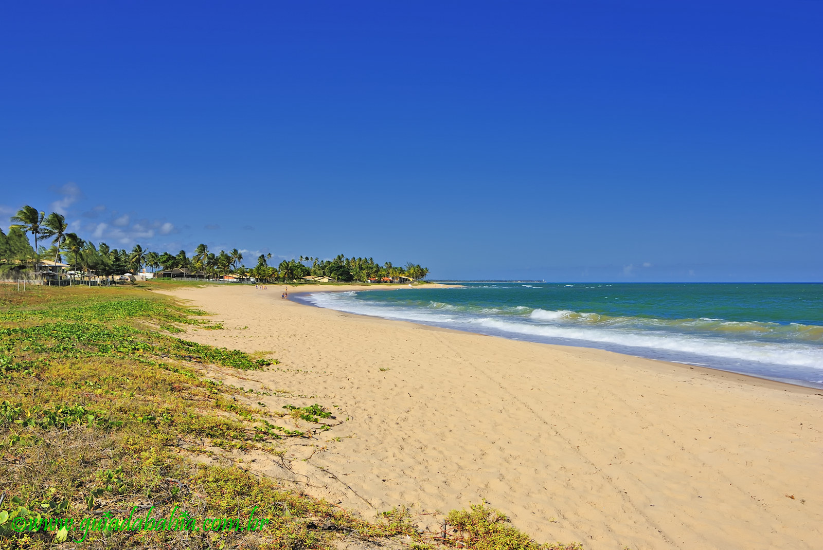Fotos da Praia de Itacimirim Costa dos Coqueiros